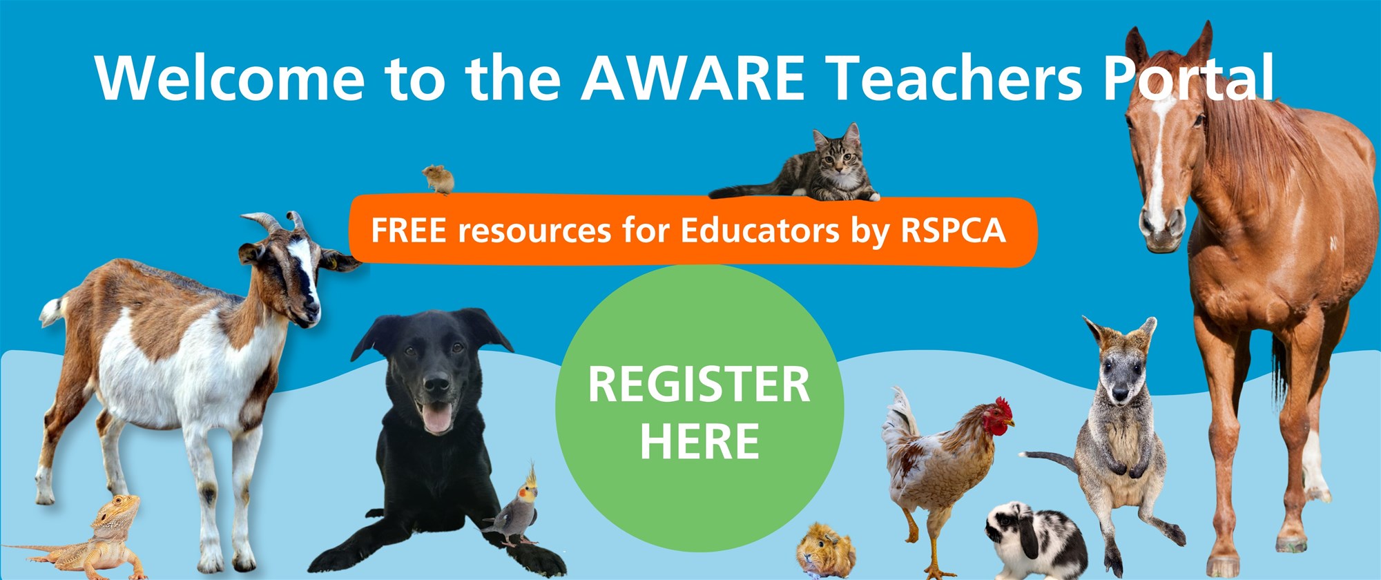 Animal Care Education for Educators | RSPCA Education